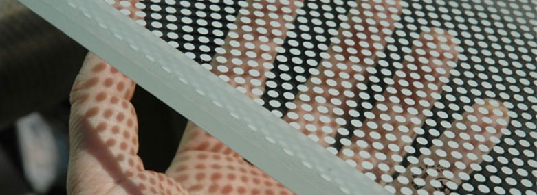 How to Prevent Birds from Flying into Windows - AP Tinting